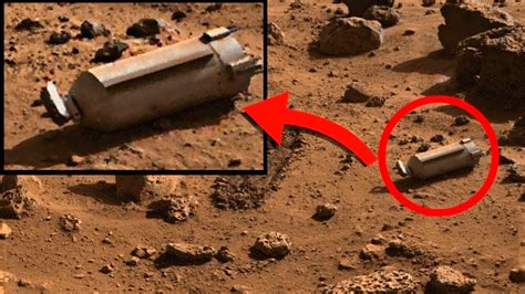 The Most Bizarre Discoveries Simply Amazing Stuff