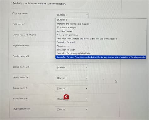Solved Match The Cranial Nerve With Its Name Or