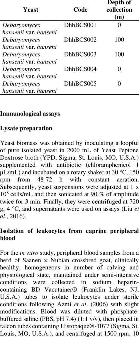 Debaryomyces Hansenii Strains From The Centro De Investigaciones