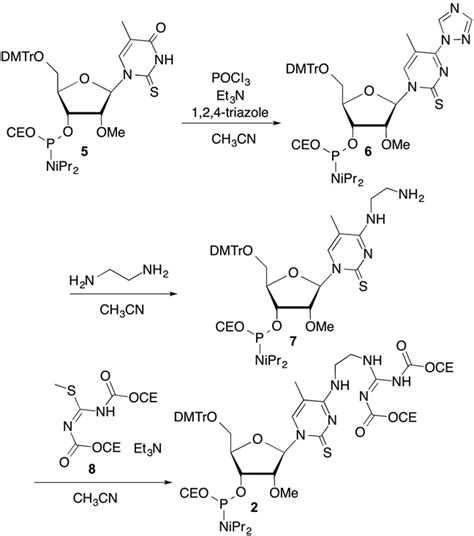Synthesis And Triplex Forming Properties Of Oligonucleotides Capable Of