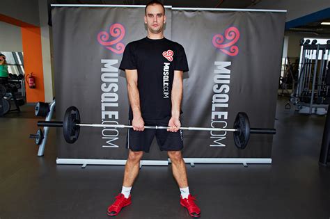 Sumo Deadlift Musqle