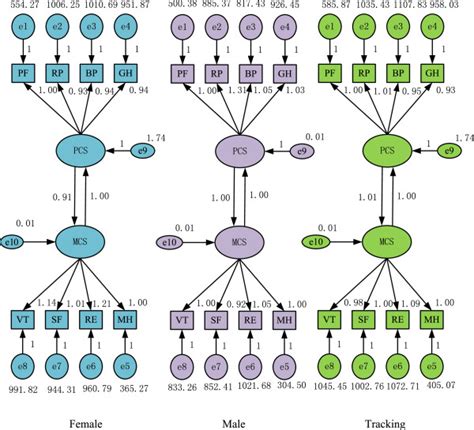SEM Comparison Left Female Middle Male Right Tracking Data Of Download Scientific Diagram