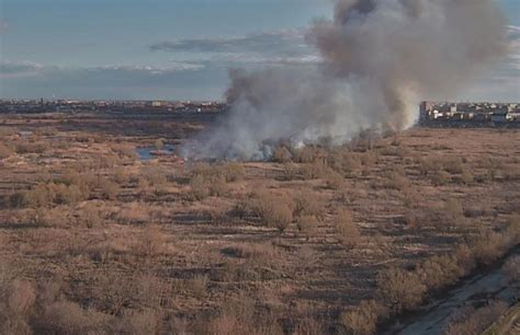 Pompierii în alertă Incendiu în Delta Văcărești din Capitală Ard 20