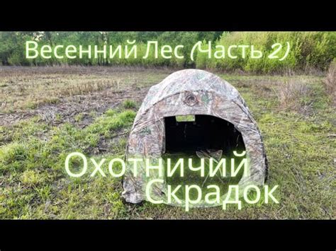 Весенний лес. (Часть 2) Охотничий Скрадок - YouTube