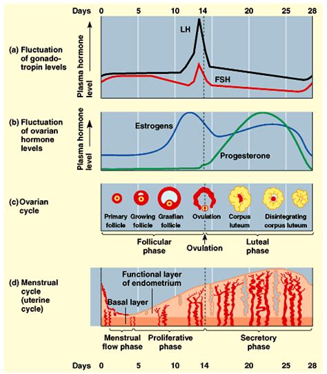 Reproduction Welcome To The Frog Pad