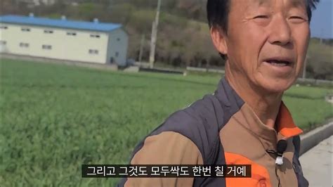 4월 마늘 양파농사 대박 퇴비 Youtube