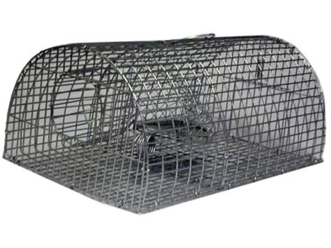 Trampa Para Ratas Multipresa MASY Jardiland