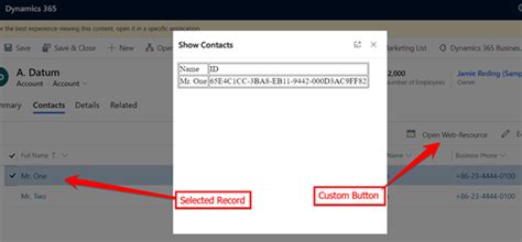 Microsoft Dynamic Crm How To Open A Web Resource And Pass Parameter In