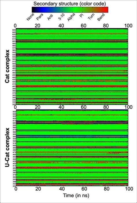secondary structure plot of the two complexes during 100 ng long