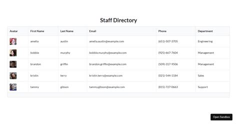 Ch1 Vue Staff Directory Vue3 Codesandbox