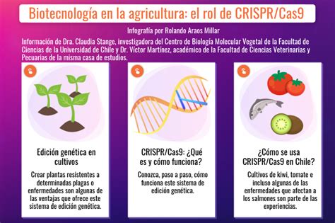 Especial Sobre Crispr En La Agricultura Planta Conciencia