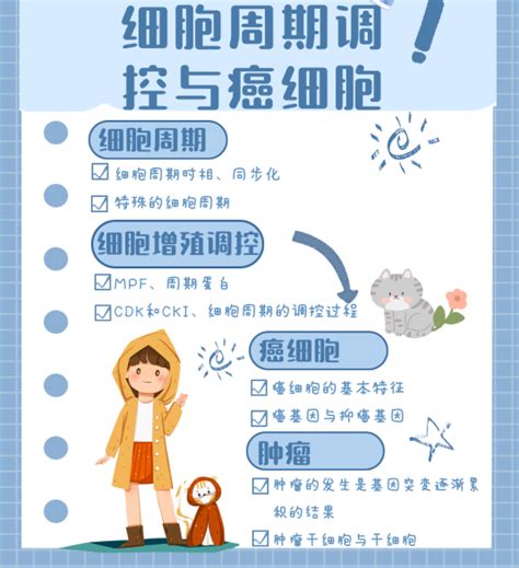 【24细胞生物学考研】思维导图带背之细胞增殖及其调控（下）（持续更新中~考研人必看） 知乎