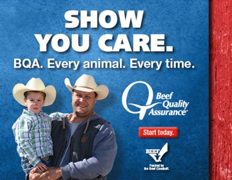 Free Bqa Certification Training Through October 31 Southeast Cattle Advisor