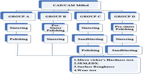 Schematic Of The Protocols Used For The Experimental Design Download