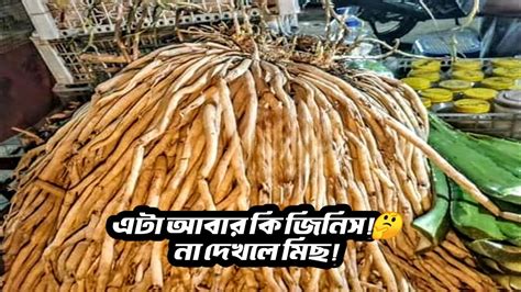 চটটগরমর বজর এট ক আজব জনস YouTube