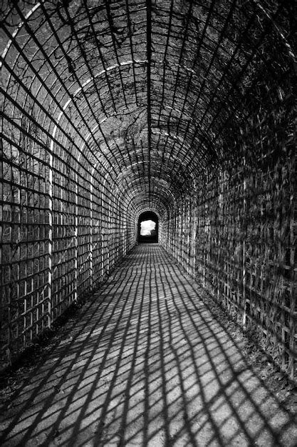 Interior Del Túnel Foto Premium