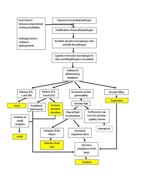Parapneumonic Effusion Pdf