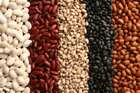 Types Of Beans