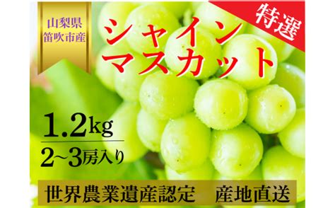 ＜2024年発送＞笛吹市産 厳選シャインマスカット 12kg （2～3房）フルーツ大国！山梨県笛吹市より産地直送 209 003 Outta