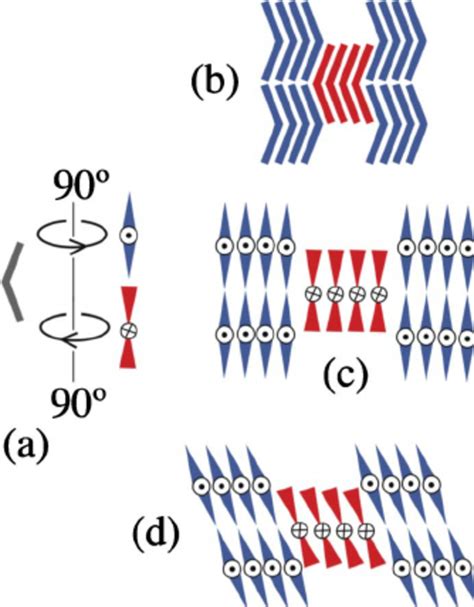 ͑ Color Online ͒ ͑ A ͒ Schematic Representation Of Bent Core Molecules Download Scientific