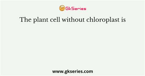 The Plant Cell Without Chloroplast Is