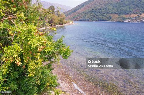 화창한 가을 날에 아름다운 지중해 풍경입니다 몬테네그로 코토르 만 0명에 대한 스톡 사진 및 기타 이미지 0명 가을 계절 Istock