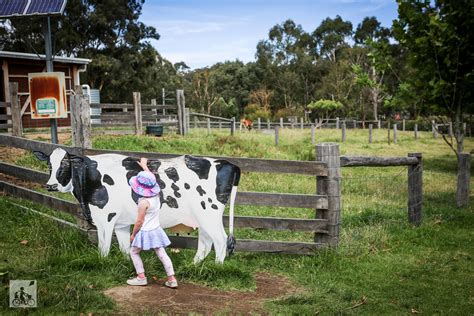 Edendale Community Environment Farm Eltham — Mamma Knows North