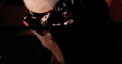 What Do You Mean Be Dapper Imgur