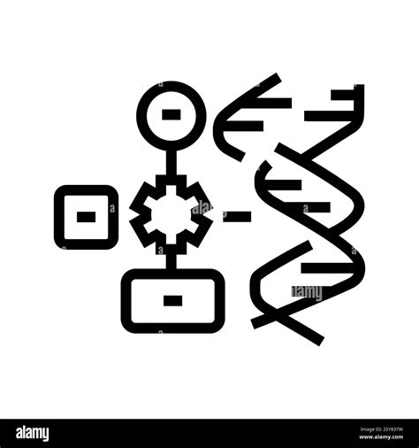 Genetic Algorithms Black Line Icon Stock Vector Image Art Alamy