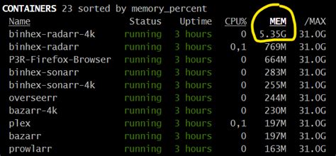 Radarr Second Instance Using A Lot Of Memory R Unraid
