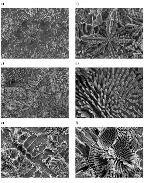 The Structure A B Hypereutectic C D Eutectic E F Download Scientific Diagram