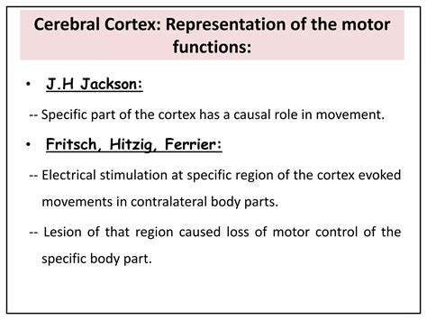 Sensory Motor Processing In Planning And Execution Of Movement Pptx