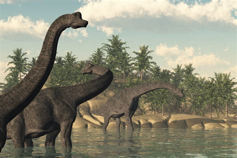Quels Sont Les Noms Des Dinosaures