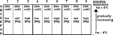 Suggested Arrangement Of Pcr Plate During Optimization The Arrangement Download Scientific