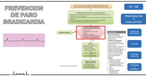 Dr Re Algoritmo De Bradicardia Acls Tema Completo En Facebook