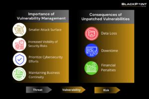 Vulnerability Management For Business Continuity BlackPoint IT