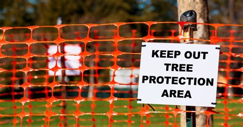 Guarding Trees In Victoria BC Construction Care Tips