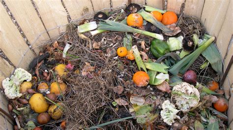 Compost Là Gì Cách Sử Dụng Và Ví Dụ Câu Đầy Đủ