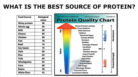 Protein Scale Chart Protein Quality Foods Diaas List Plant Score Meat