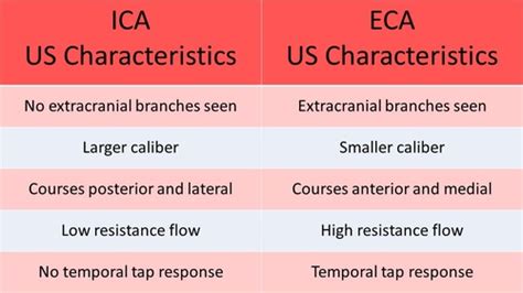 Ultrasound Evaluation Of The Extracranial Arteries Flashcards Quizlet