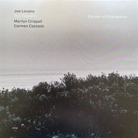 Joe Lovano Trio Tapestry Marilyn Crispell Carmen Castaldi Garden Of Expression Vinyl Lp Disc