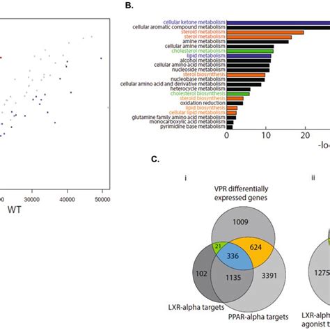 Rna Seq Analysis Of Liver Reveals That Vpr Regulates Expression Of A