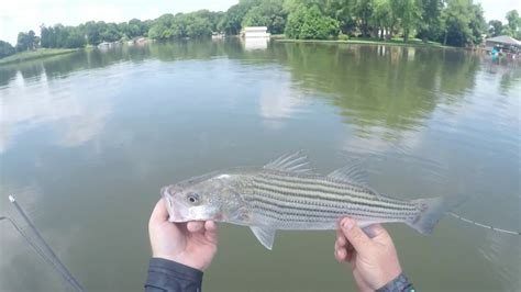 Fishing Lake Hickory Youtube