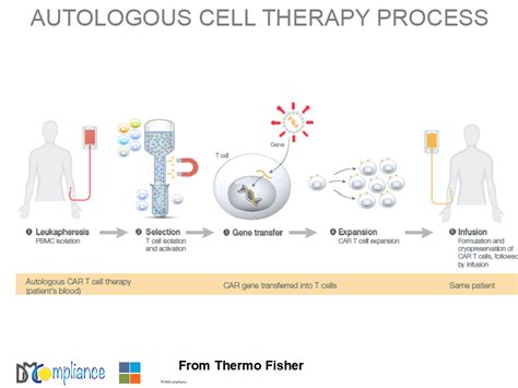 Individual Stringent Mini Isolators For Autologous Cell Therapy