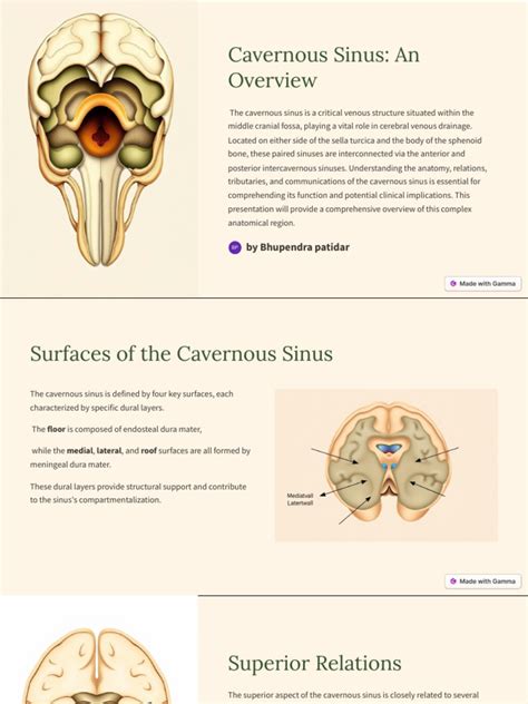 Cavernous Sinus Anatomy And Communications Pdf Vein Human Anatomy