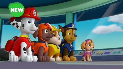 Rockygalleryrocky Saves Himself Paw Patrol Rocky Paw