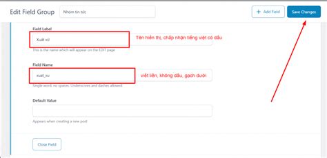 Hướng dẫn sử dụng plugin Advanced Custom Fields trong Wordpress