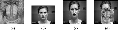 robust facial expression recognition via compressive sensing