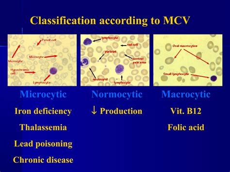 Anemia In Pediatrics 2019 Ppt