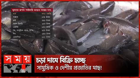 খুলনায় চাহিদার তুলনায় মাছের সরবরাহ কম Khulna Fish Market Somoy